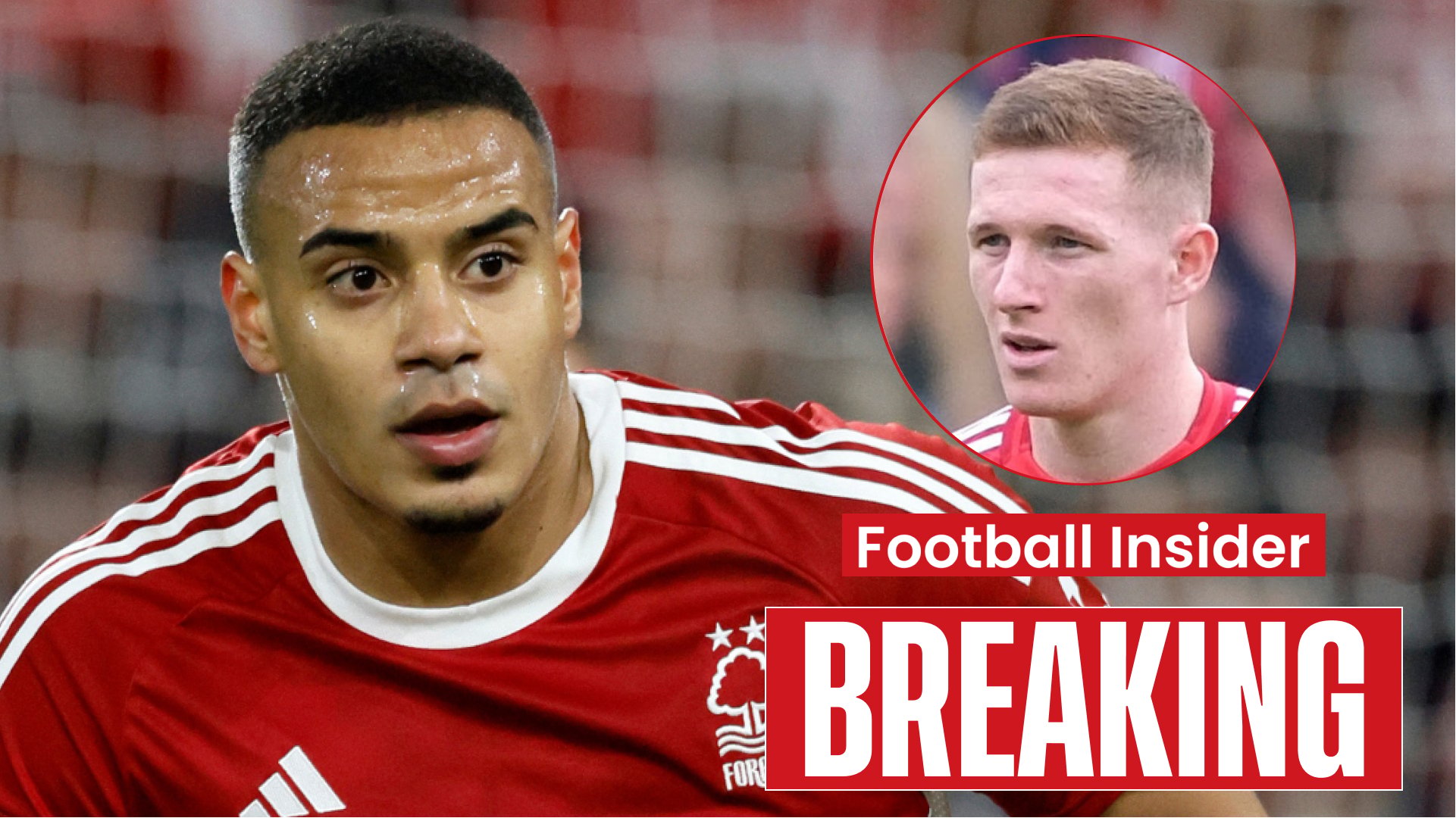 Forest Launch Bid for Stylish CenStylishtre-Back Drawing Van Dijk ...